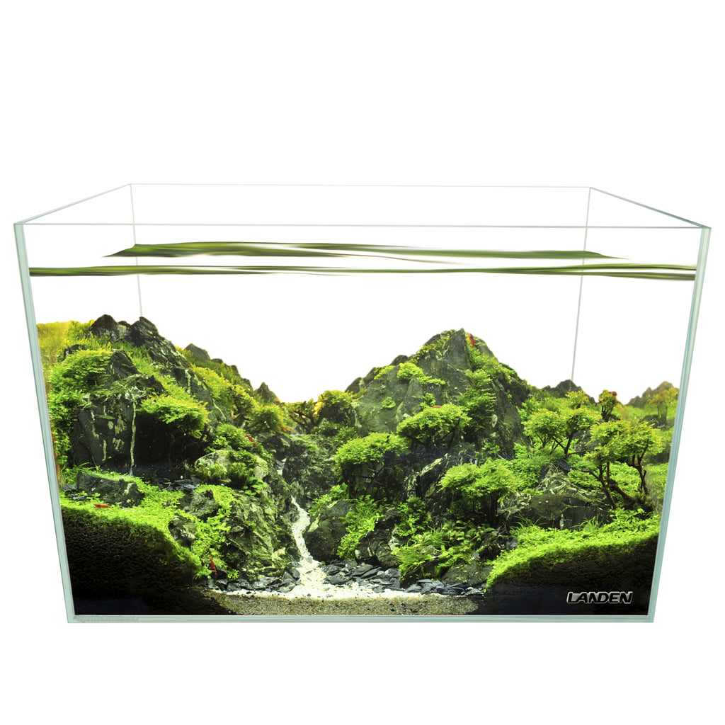 Landen 120P 64.2GL Rimless Low Iron Tank (Ultra Clear Glass) – Nature ...
